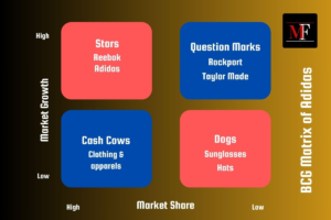 BCG Matrix Examples